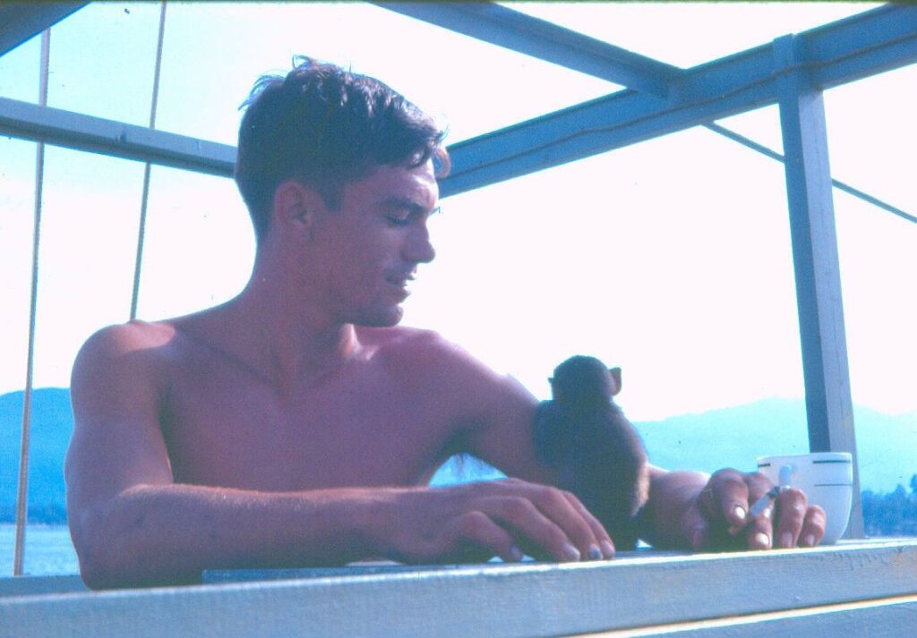 10 Diving in the Tropics – Philippine-Sailor